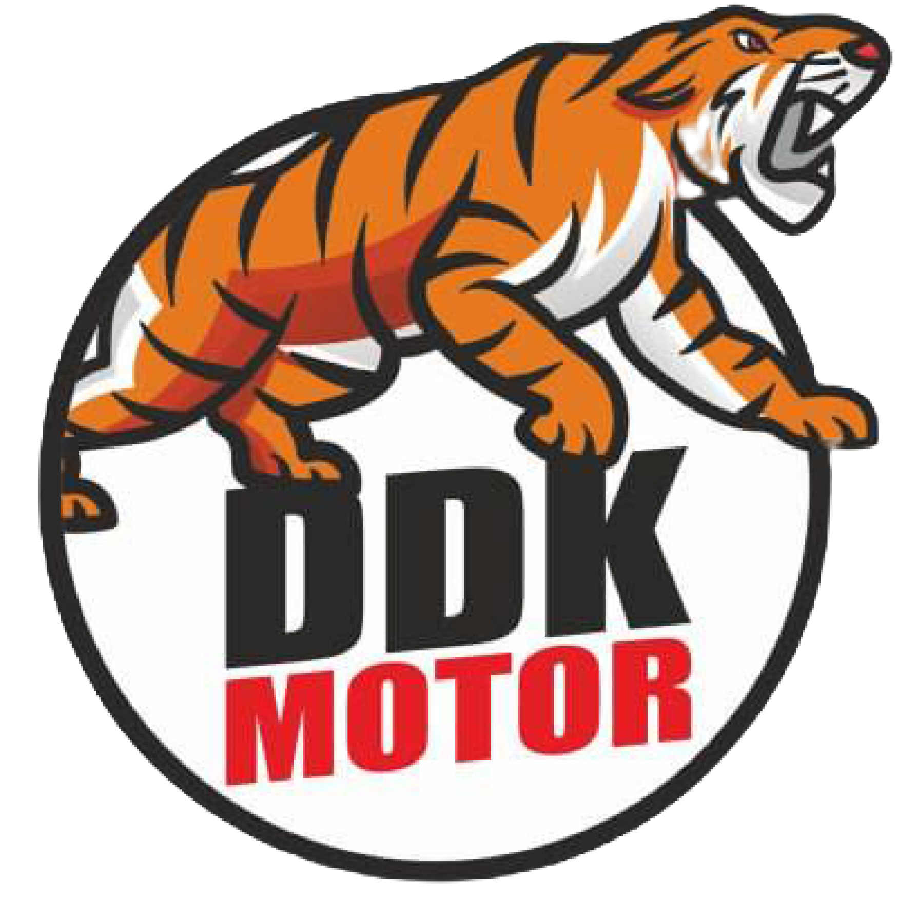 DDK motor- Капітальний ремонт двигунів . Працюємо з автомобілями таких ...